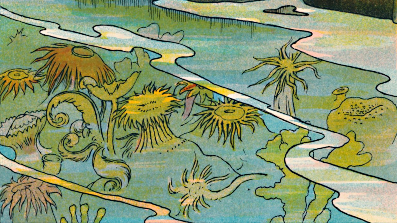 What Is Seaweed Skincare and Should You Try It? | GQ Middle East
